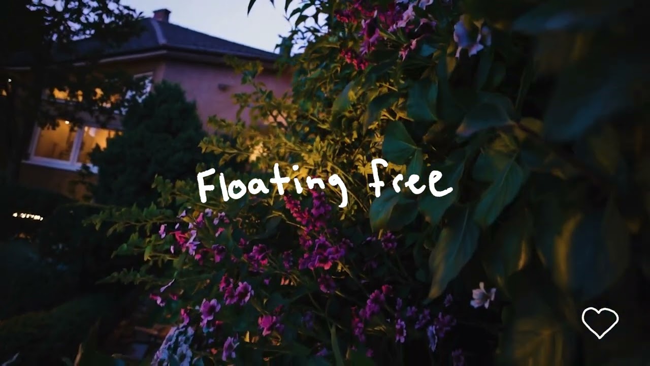 Floating free - Fund Mental Healthcare (Single Visualizer) - Behavioral Healthcare Network