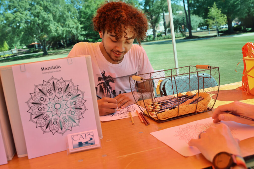 Princeton Review names Mercer to 2026 Mental Health Services Honor Roll ...