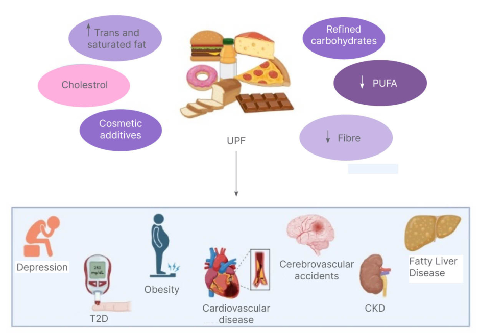 Association Between Ultra-Processed Food Consumption and Risk of ...