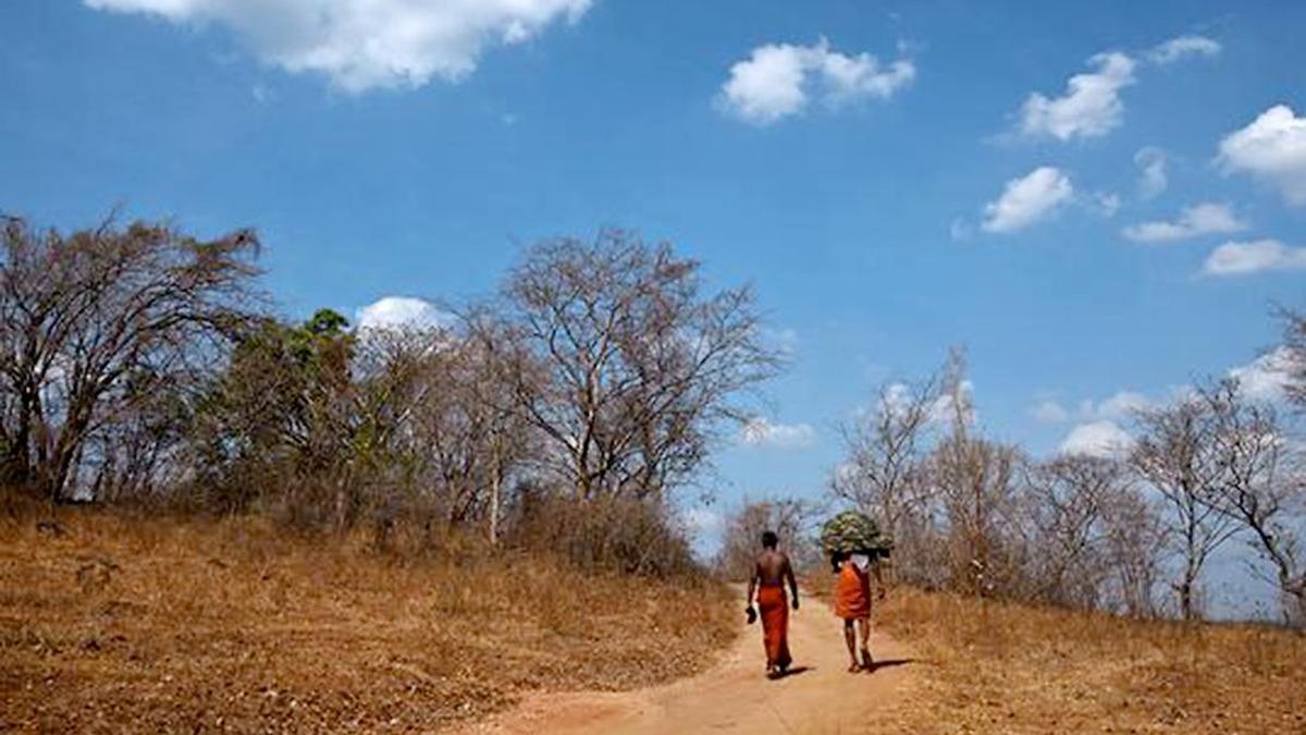 Mental health in a warming world: why this is a looming crisis ...