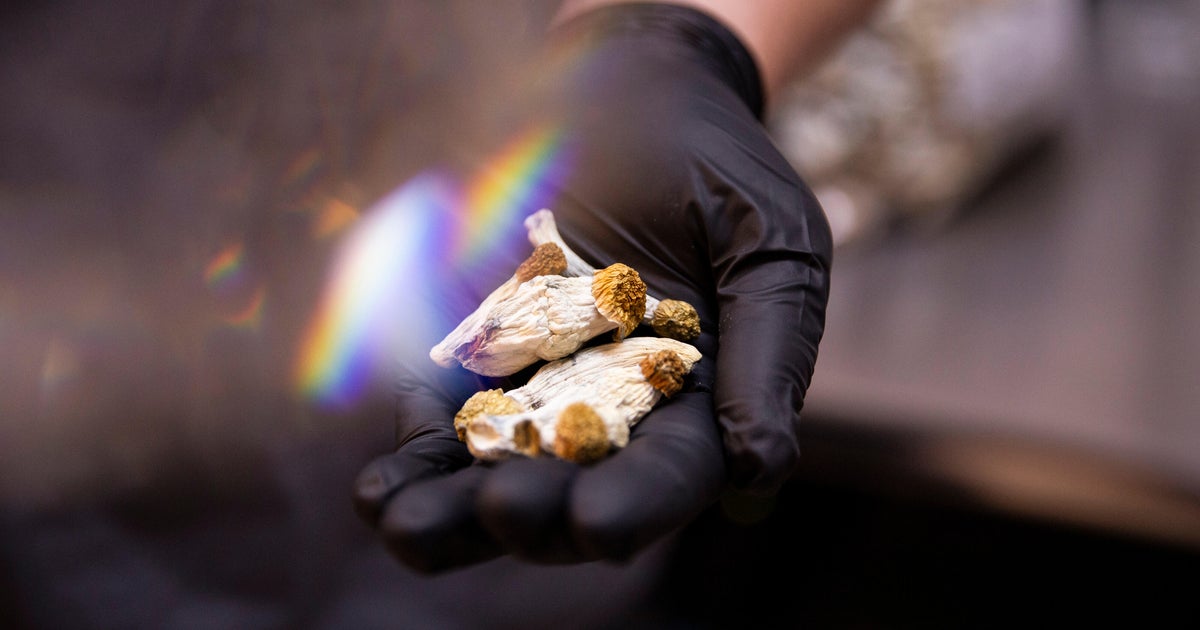 Maryland task force deems natural psychedelics safe for mental health ...