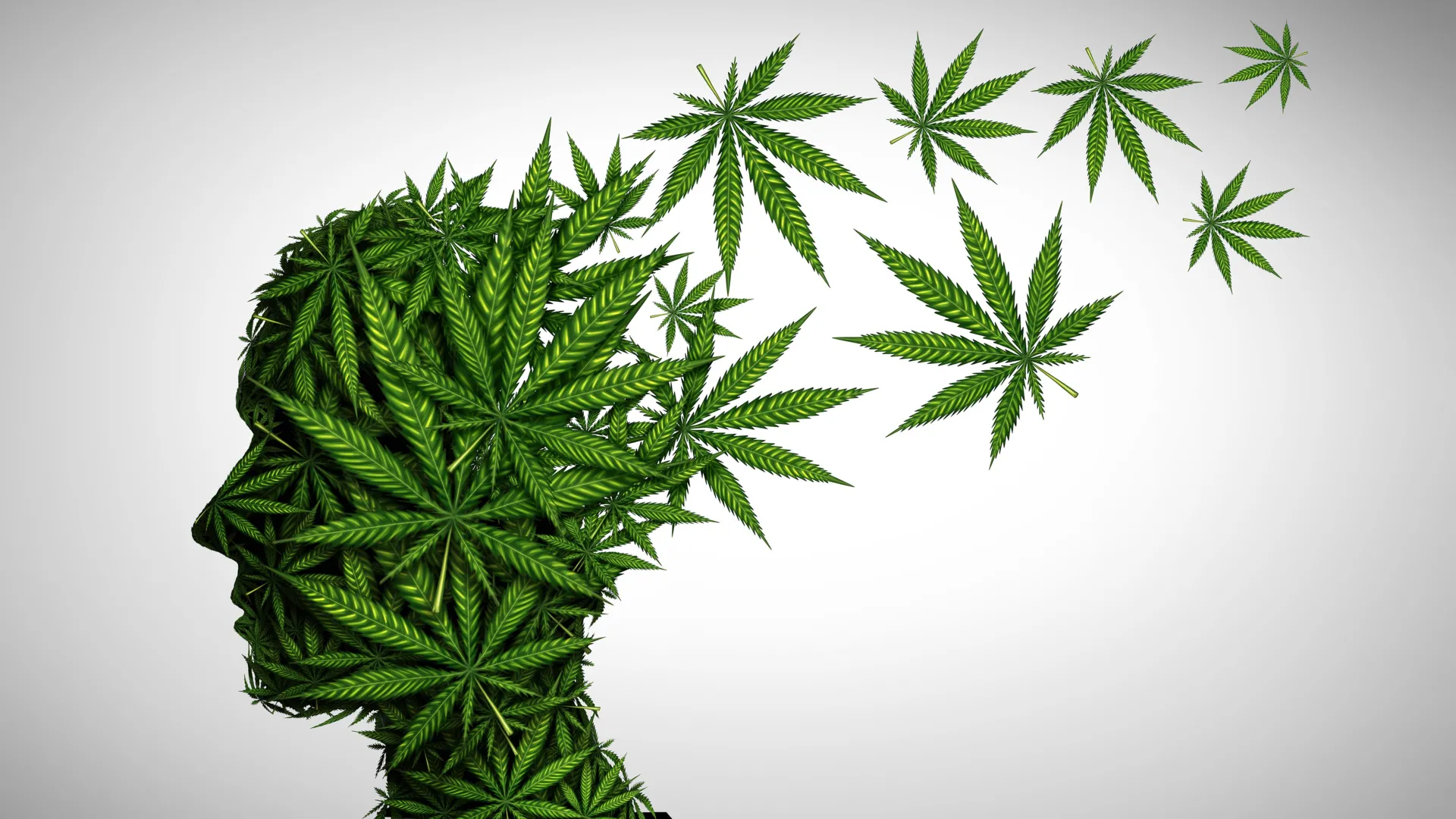 Smoking cannabis with tobacco may disrupt the brain’s “bliss molecule ...