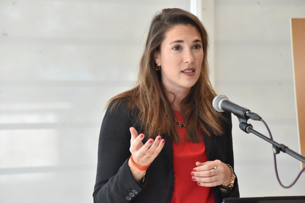 Hinchey bill expanding access to mental health courts signed into law ...