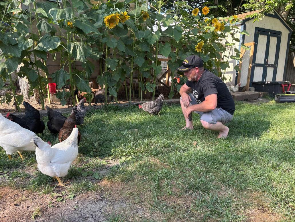 Veteran fights to save emotional support chickens - Behavioral ...