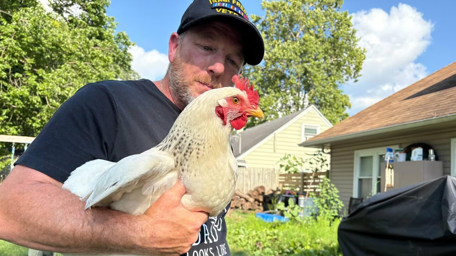 Veteran fights to save emotional support chickens - Behavioral ...