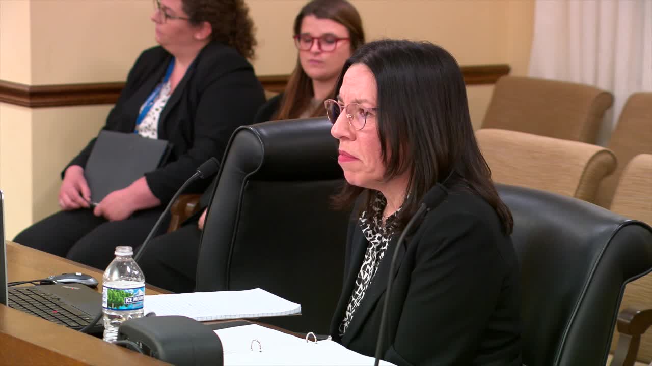 Legislative auditor: Minnesota DHS employees backdated, created ...