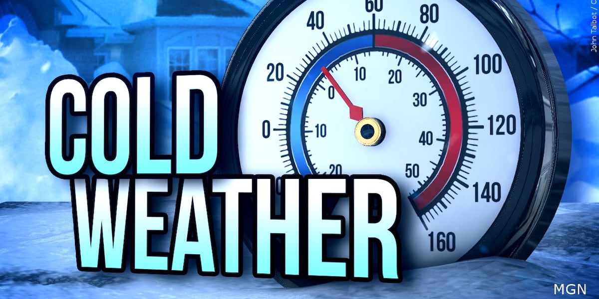 How mid-Michigan residents are coping with extreme cold and protecting ...